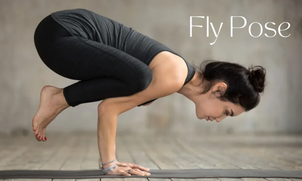 Master the Fly Pose: A Step-by-Step Guide for Yoga Enthusiasts