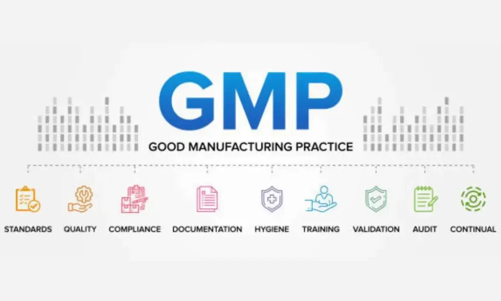 GMP Manufacturing in Pharmaceutical Production: Prioritizing Safety and ...